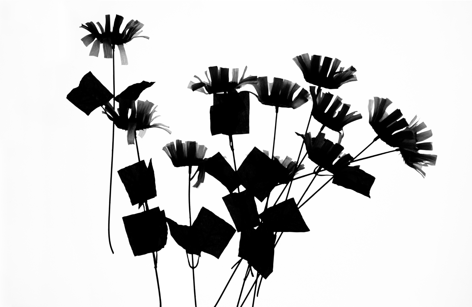 Jane Benson Everyday To Come sunflowers II PRISKA PASQUER